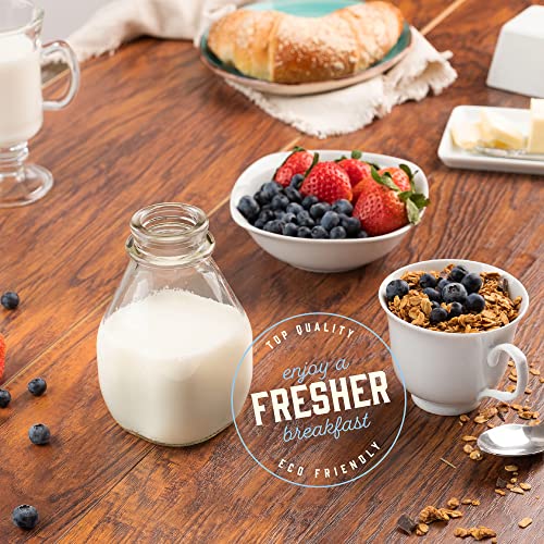 Kitchentoolz 16 Oz Glass Milk and Creamer Bottle with Caps - Perfect Milk Container for Refrigerator Storage - 16 Ounce Short and Wide Glass Milk Bottle with Tamper Proof Lid and Pour Spout - Pack of 1
