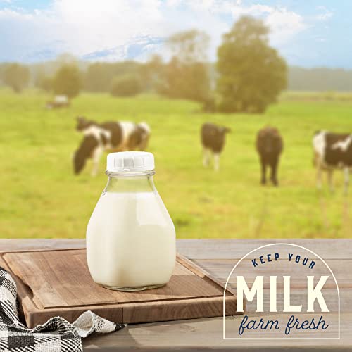 Kitchentoolz 16 Oz Glass Milk and Creamer Bottle with Caps - Perfect Milk Container for Refrigerator Storage - 16 Ounce Short and Wide Glass Milk Bottle with Tamper Proof Lid and Pour Spout - Pack of 1
