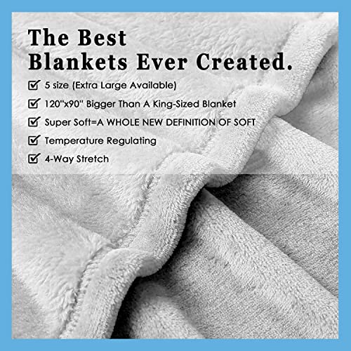 Pindola Grey Fleece Throw Blankets for Couch,Lightly Plush Cozy Textured Flannel Blanket for Sofa, Sofa, Bed, Light Gray,Valentine's Day Easter Gifts 40"x30" for Pets