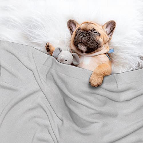 Pindola Grey Fleece Throw Blankets for Couch,Lightly Plush Cozy Textured Flannel Blanket for Sofa, Sofa, Bed, Light Gray,Valentine's Day Easter Gifts 40"x30" for Pets