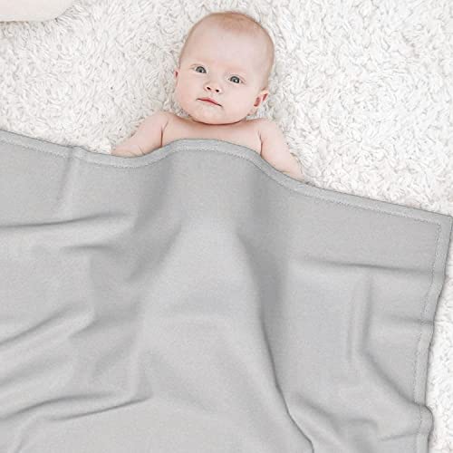 Pindola Grey Fleece Throw Blankets for Couch,Lightly Plush Cozy Textured Flannel Blanket for Sofa, Sofa, Bed, Light Gray,Valentine's Day Easter Gifts 40"x30" for Pets