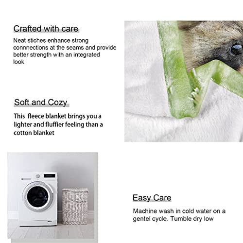 HommomH Raccoon Blanket Animal Pattern Digital Print Fleece Throw Cute Little Raccoon 60"x80"