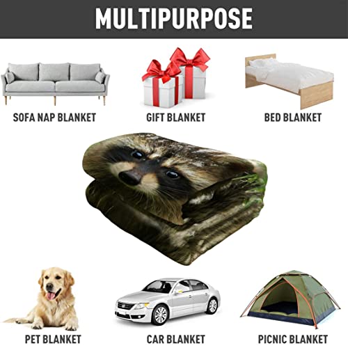 HommomH Raccoon Blanket Animal Pattern Digital Print Fleece Throw Cute Little Raccoon 60"x80"