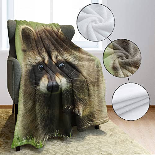 HommomH Raccoon Blanket Animal Pattern Digital Print Fleece Throw Cute Little Raccoon 60"x80"