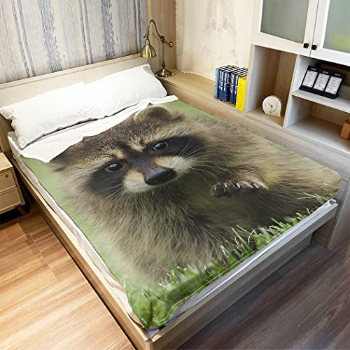 HommomH Raccoon Blanket Animal Pattern Digital Print Fleece Throw Cute Little Raccoon 60"x80"