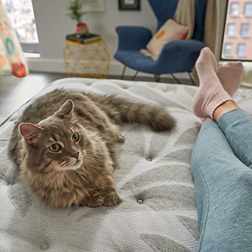 Sealy Posturepedic Spring Silver Pine Faux Eurotop Firm Feel Mattress and 5-Inch Foundation, King