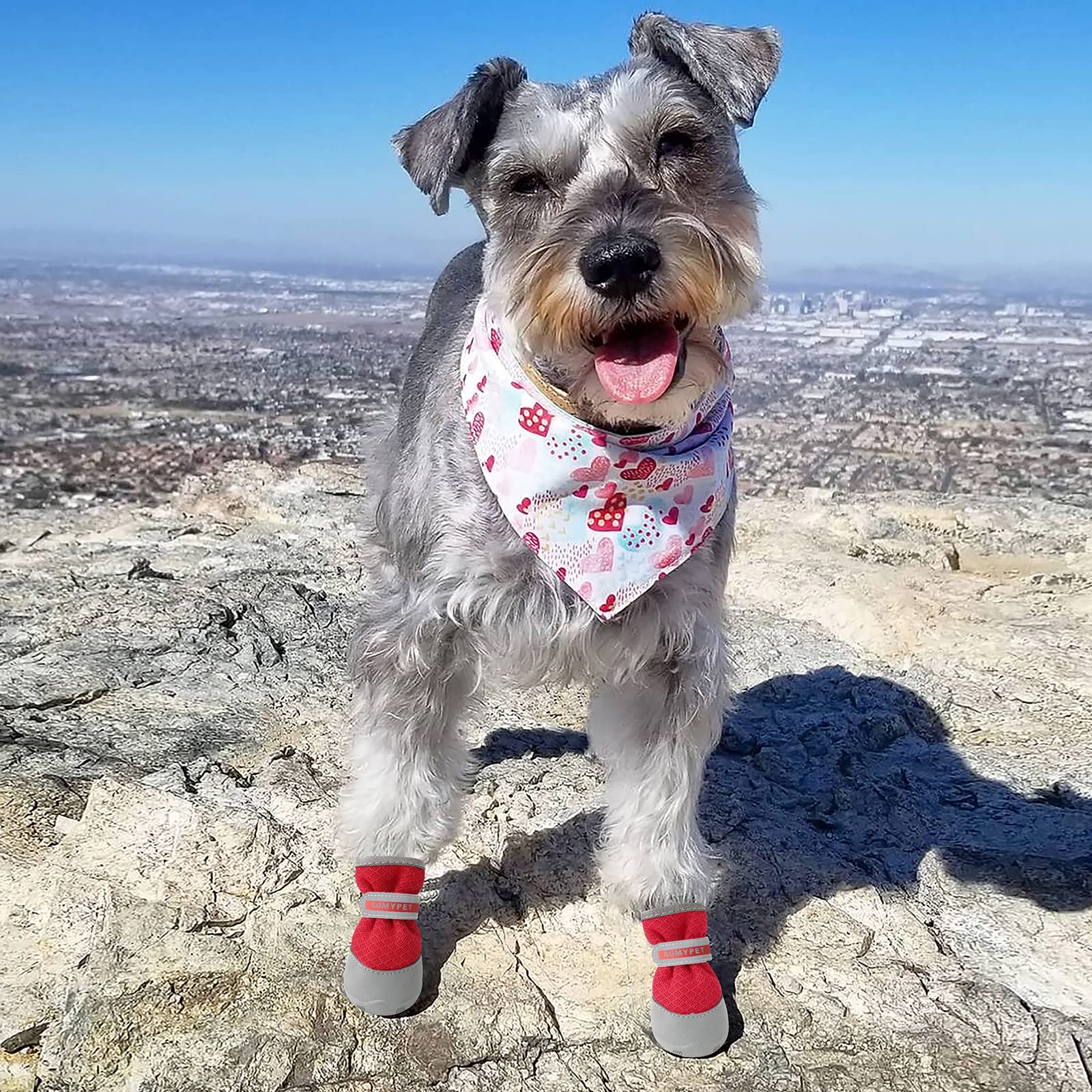 QUMY 2PCS Dog Shoes for Small Breed Dogs Hot Pavement Summer Puppy Dog Booties with Reflective Strip Soft Comfortable Skid-Resistant Rubber Sole Red Size 5