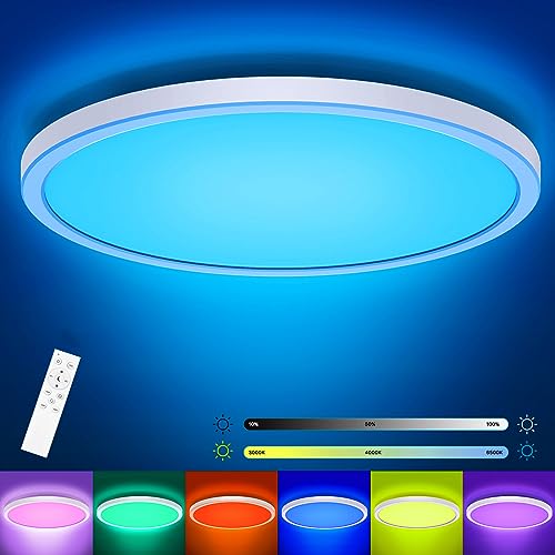 BLNAN RGB LED Flush Mount Ceiling Light, 12Inch 24W Dimmable 3000K-6500K Color Changing Light Fixture with Remote Control, Round Ultra Thin Low Profile Hardwired Lamp for Bedroom Kid Room Party