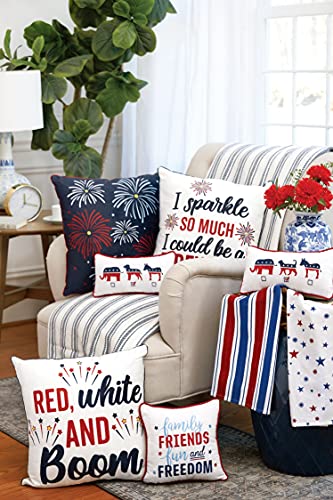 C&F Home Navy Blue and White Ticking Stripe Cotton Woven 50x60 Throw Blanket Farmhouse 50x60 inches Navy