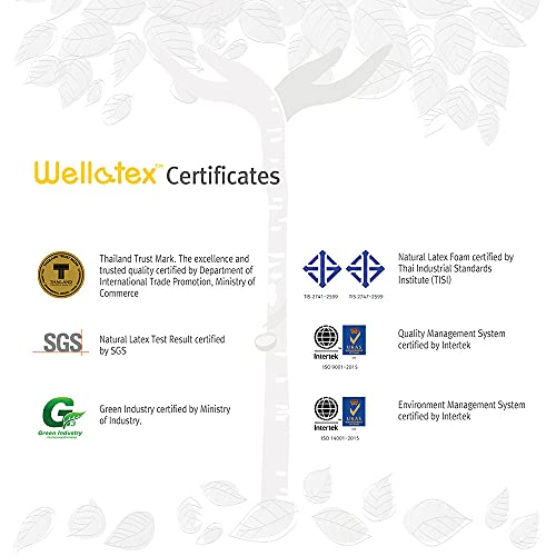 Wellatex 1 Inch Medium 100% Natural Premium Latex Mattress Topper Queen (Flammability Safety Certified)