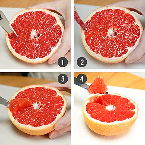 Better Houseware Grapefruit Knife curved serrated Stainless Steel Knife w/Nylon Handle, Serrated Edge grapefruit peeler knife, kiwi knife, lemon zester, Dishwasher Safe | Kitchen Utensils