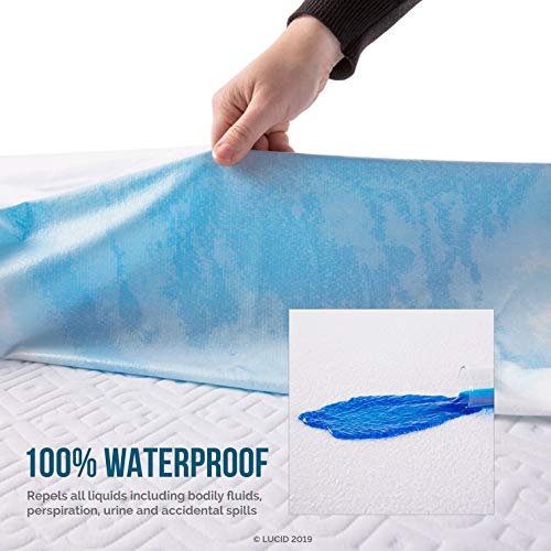LUCID 3 Inch Gel Memory Foam Plush - Cooling Targeted Convoluted Comfort Zones Mattress Topper, Twin & Premium Hypoallergenic 100% Waterproof Mattress Protector - Universal Fit,White Twin
