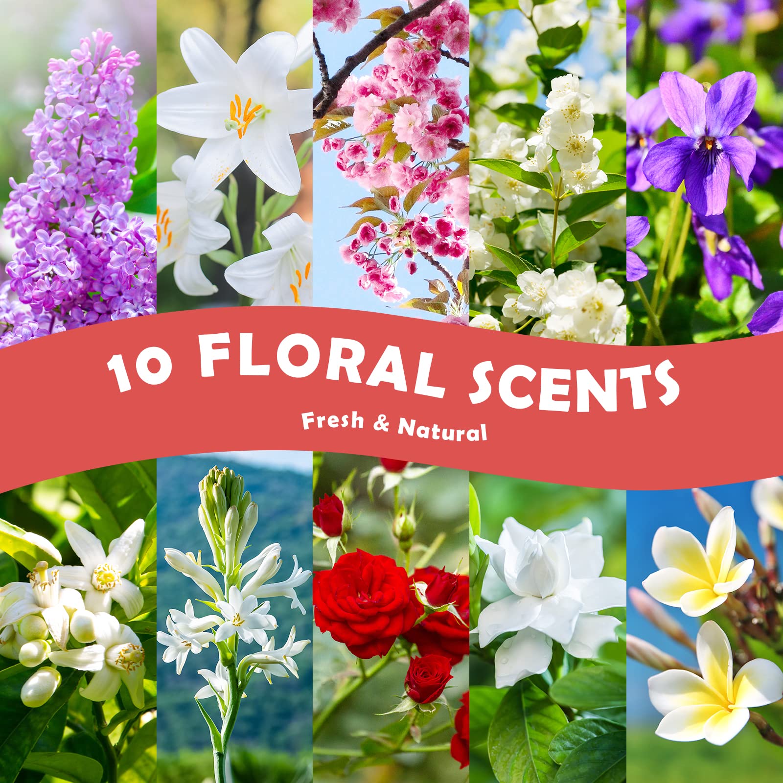 Floral Essential Oils, Holamay Premium Fragrance Oil for Candle Making, 5mlx10, Soap Making Scents - Rose, Jasmine, Neroli, Gardenia, Lilac and More, Aromatherapy Oils for Diffusers for Home