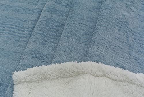 orejury Flannel Sherpa Fleece Throw Blanket for Couch, Light Blue Fuzzy Warm Soft Blanket for Sofa, a Shawl Blanket at Home or Outdoors, 60 in x 39 in