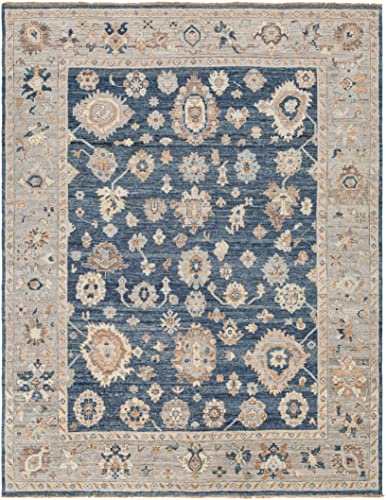 Hauteloom Atoc Wool Living Room, Bedroom Area Rug - Traditional - DarkBlue, Beige, LightGray - 8' x 10'