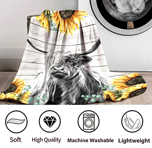 Highland Cow Blanket Super Soft Flannel Sunflower Cow Throw Blanket Warm Lightweight Blanket for Adults Kids Gifts 50"X40"