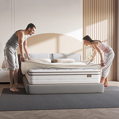 TeQsli Queen Mattress 12 Inch, Cool Eggshell Memory Foam and 7 Zone Pocket Innerspring Hybrid Mattress in a Box, Supportive Queen Bed Mattress, Breathable Cover 100 Nights Trial (TSB30Q-US)