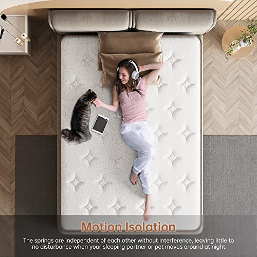 TeQsli Queen Mattress 12 Inch, Cool Eggshell Memory Foam and 7 Zone Pocket Innerspring Hybrid Mattress in a Box, Supportive Queen Bed Mattress, Breathable Cover 100 Nights Trial (TSB30Q-US)