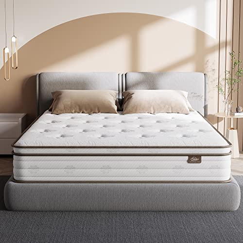 TeQsli Queen Mattress 12 Inch, Cool Eggshell Memory Foam and 7 Zone Pocket Innerspring Hybrid Mattress in a Box, Supportive Queen Bed Mattress, Breathable Cover 100 Nights Trial (TSB30Q-US)