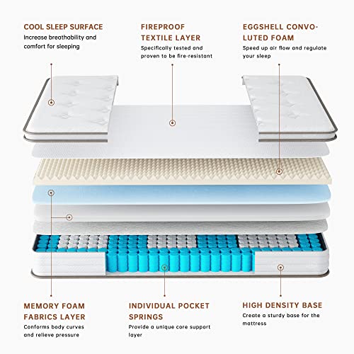 TeQsli Queen Mattress 12 Inch, Cool Eggshell Memory Foam and 7 Zone Pocket Innerspring Hybrid Mattress in a Box, Supportive Queen Bed Mattress, Breathable Cover 100 Nights Trial (TSB30Q-US)