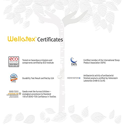 Wellatex 7 Zone 3 Inch Soft 100% Natural Premium Latex Mattress Topper Queen (Flammability Safety Certified)