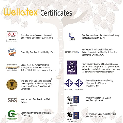 Wellatex 7 Zone 3 Inch Soft 100% Natural Premium Latex Mattress Topper Queen (Flammability Safety Certified)