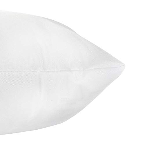 Rimego Funny Quote Pillow Covers Heaven and Earth Will Pass Away,But My Words Will by No Means Pass Away Black Starry Sky Bedroom Sofa Throw Pillowcase Cushion Cover with Words, 2 - Pack 18"x18"