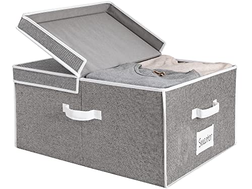StorageWorks Underbed Storage Box and 55L Closet Storage Organizer