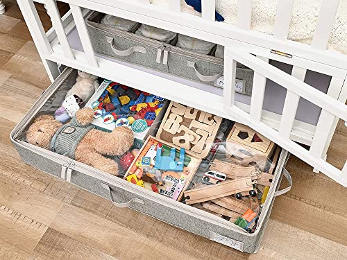 StorageWorks Underbed Storage Box and 55L Closet Storage Organizer