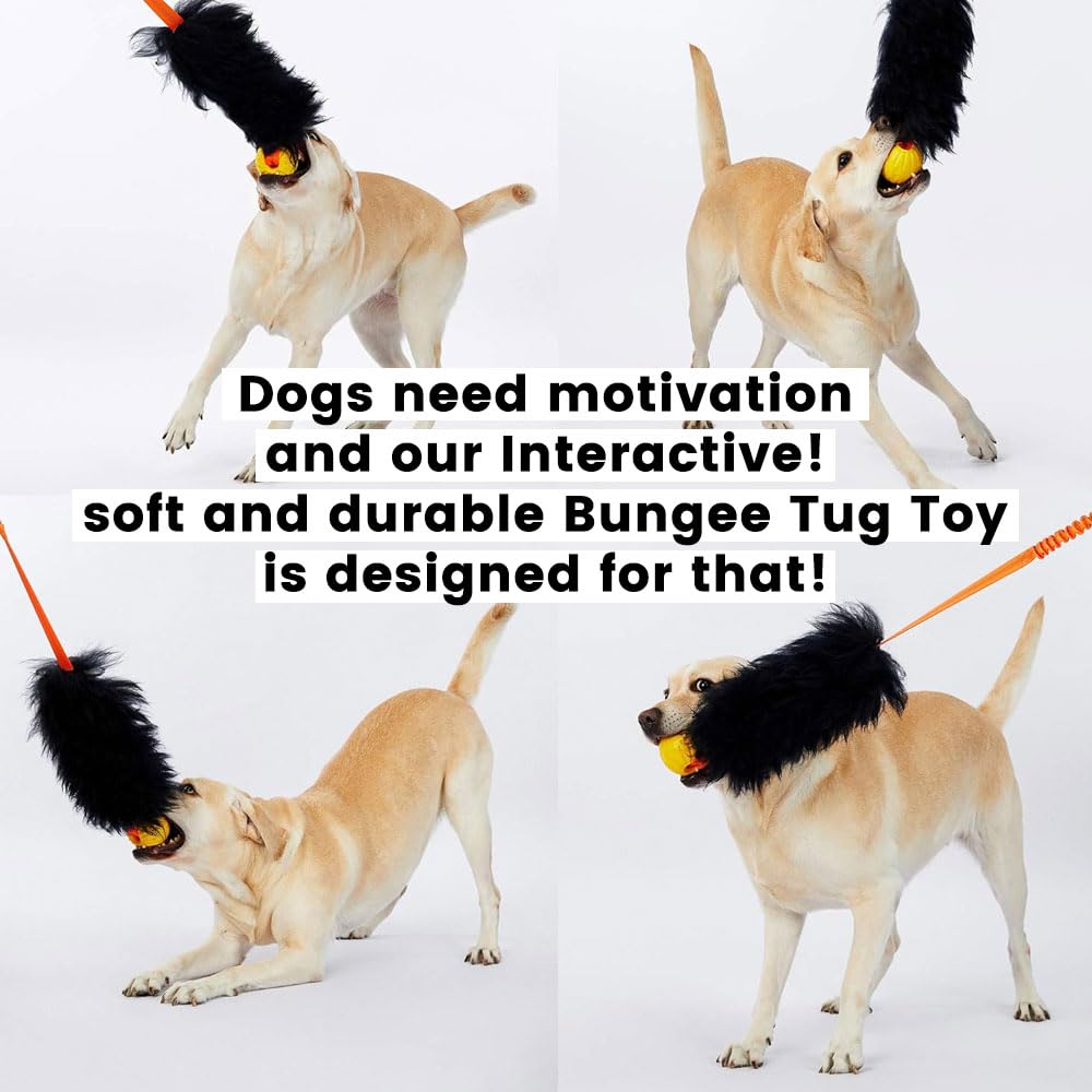 HOWGO Dog Rope Toy,Dog Bungee Chaser Toy 100% Sheepskin,Sheep Smell Tug Toy for All Breeds (Purple, Large)