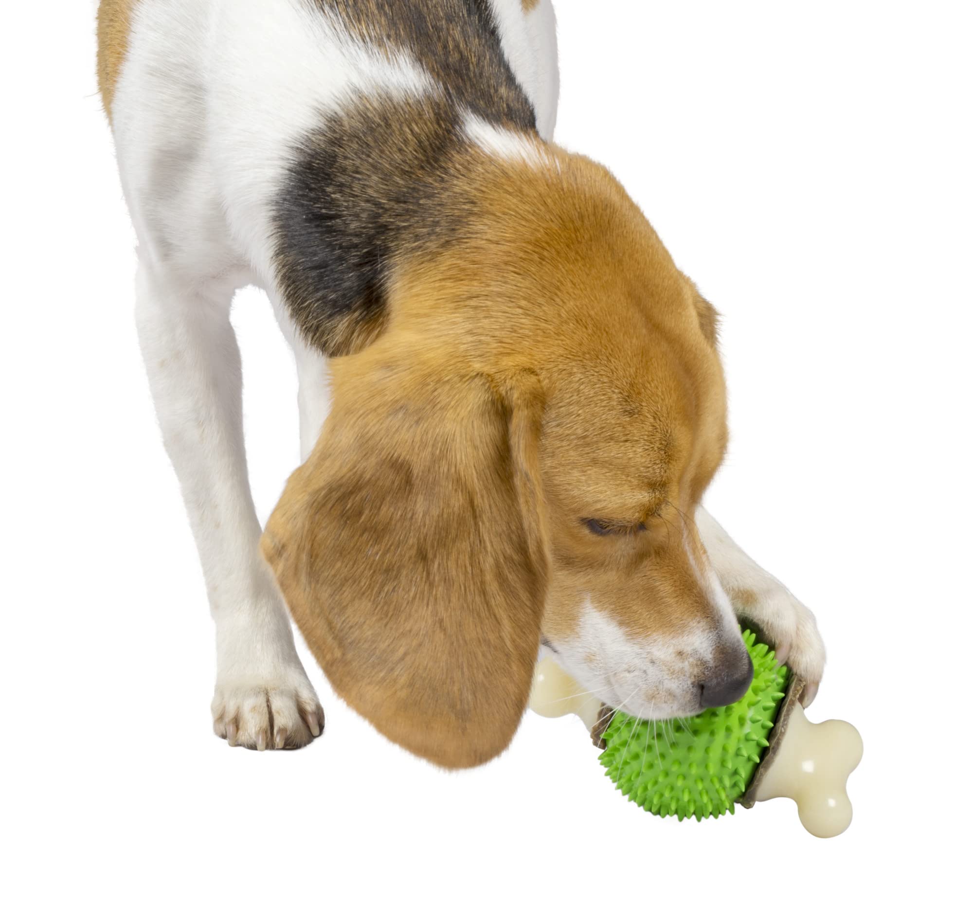 MUHU Premier Pet Ring Holding Dog Toy for Medium Dogs - Ball with Refillable, Rawhide Chew Rings - Durable Treat and Toy Combo for Long-Lasting Play (m)