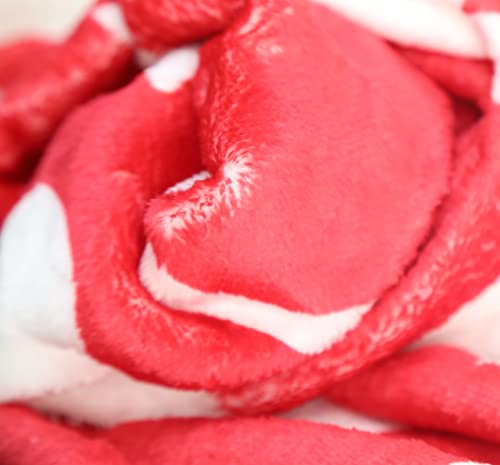 Red Clouds Anime Throw Blanket Flannel Fleece Blanket Cosplay Hooded Cloak Shawl Wrap Nap Quilt 80x60 (C, 80''X60'')