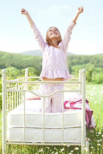 Queen Size 8 Inch Thick, 4 Pound Density Visco Elastic Memory Foam Mattress Bed with Gel Made in The USA