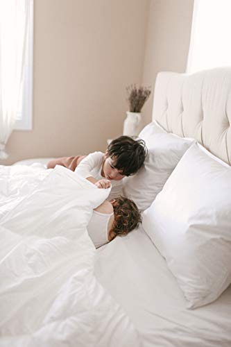 Peacock Alley Down Alternative Mattress Topper Enhancer, White, Queen – Hypoallergenic Mattress Cover with Lofty and Soft Quilted Top