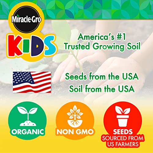 Creative Kids Miracle GRO Dinosaur Garden Kit, Multicolor