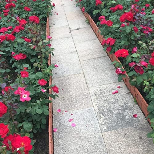 Garden Edging Set Plastic Fence, Imitation Stone Fence, Garden Edging Border Imitation Stone Brick, for DIY Decorative Patios Lawn Paths Landscape Walkways Flower Beds Border-10pcs
