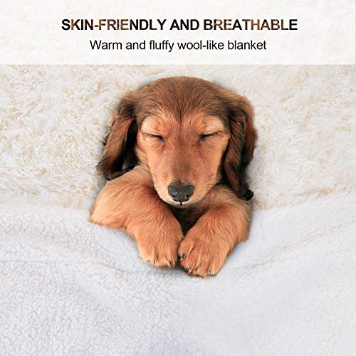 Softlife Super Soft Fluffy Faux Fur Throw Blanket 50" x 60" Reversible Plush Warm Sherpa Blankets for Couch Sofa Bed Throws Home Decorative, Cream