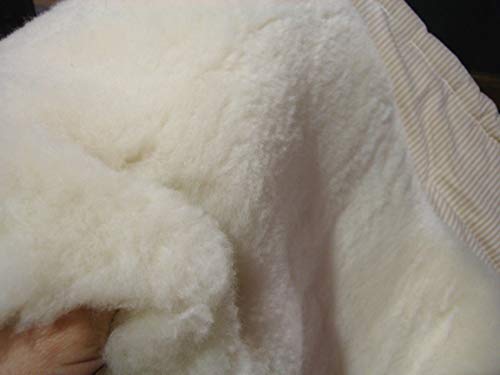 Holy Lamb Organics Happy Lamb Fleece Mattress Topper - Twin