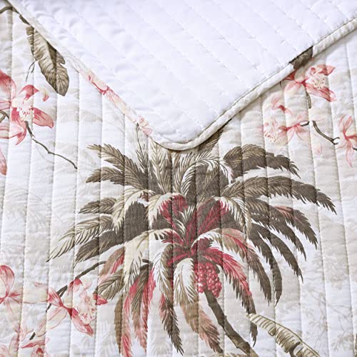 Tommy Bahama - Daybed Set, Cotton Bedding with Matching Shams & Pillow Cover, Lightweight Home Decor for All Seasons (Bonny Cove Beige, Daybed)