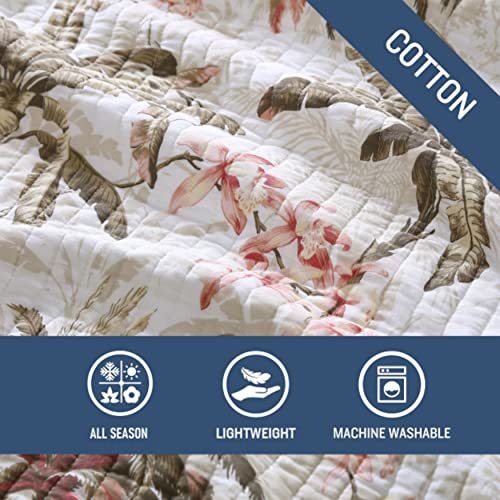 Tommy Bahama - Daybed Set, Cotton Bedding with Matching Shams & Pillow Cover, Lightweight Home Decor for All Seasons (Bonny Cove Beige, Daybed)