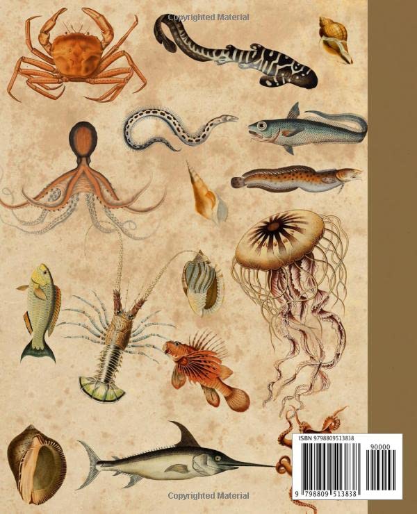 Marine Biology Gift: Vintage Composition Notebook for Marine Biologists - College Ruled with Sea / Ocean Life Theme