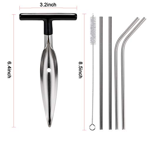 2 Pack Coconut Opener Tool Set with 4 Reusable Straws & Brush, Food Grade Stainless Steel Coco Nut Bottle Opener for Young Thai Green Fresh Coconut Water, Safe and Convenient Coco Drill Punch Tool