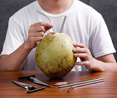 2 Pack Coconut Opener Tool Set with 4 Reusable Straws & Brush, Food Grade Stainless Steel Coco Nut Bottle Opener for Young Thai Green Fresh Coconut Water, Safe and Convenient Coco Drill Punch Tool