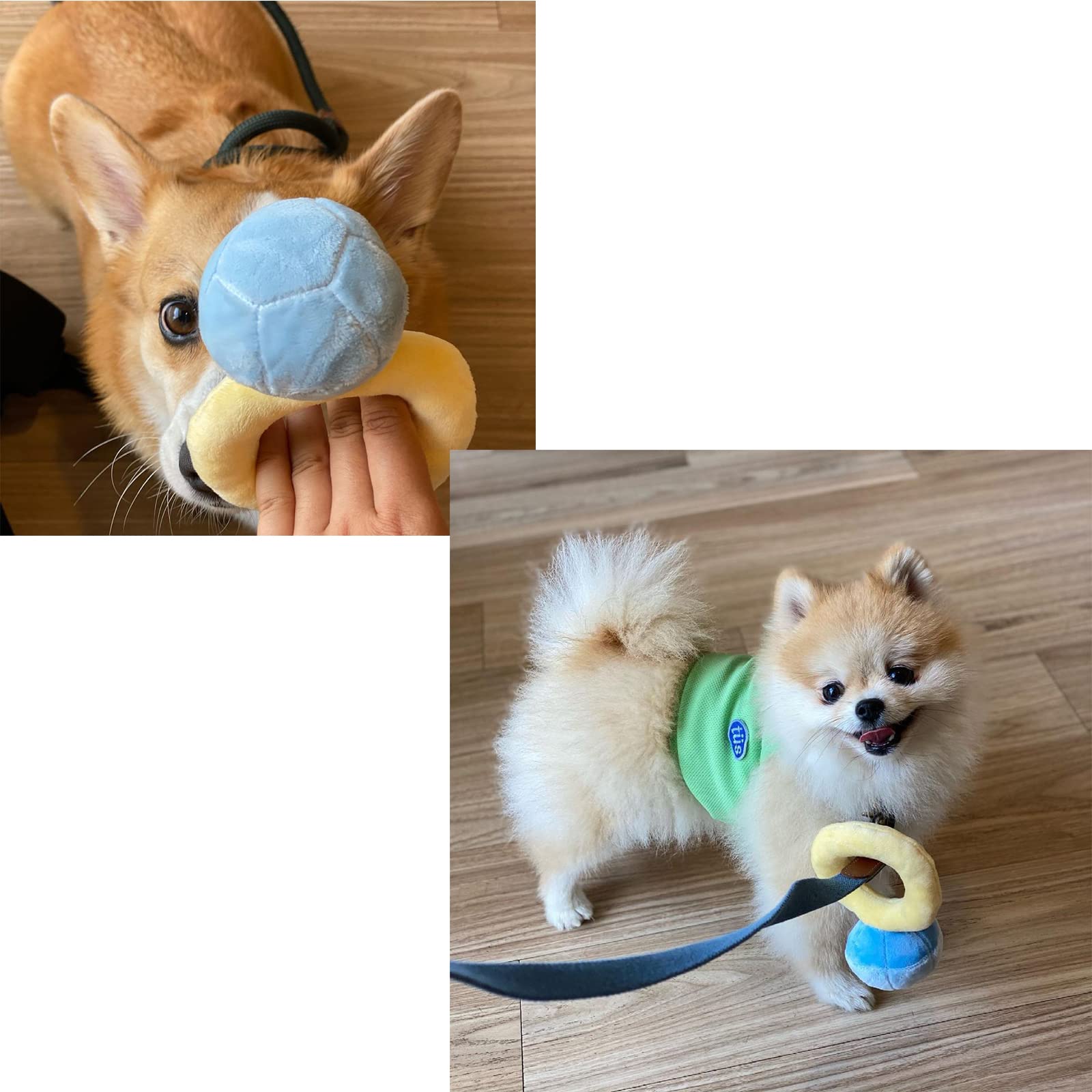 Diamond Ring Set Interactive Dog Toys, Unique Hide and Seek Dog Toys, BB Call Squeaky Puzzle Dog Toys, Durable Plush Chew Toys for Small Medium Large Dogs Training Playing-A