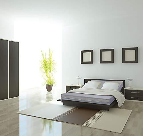 Assure II Standard Seclusion/Mental Health Hospital Bed Mattress 80" x 36" x 6"