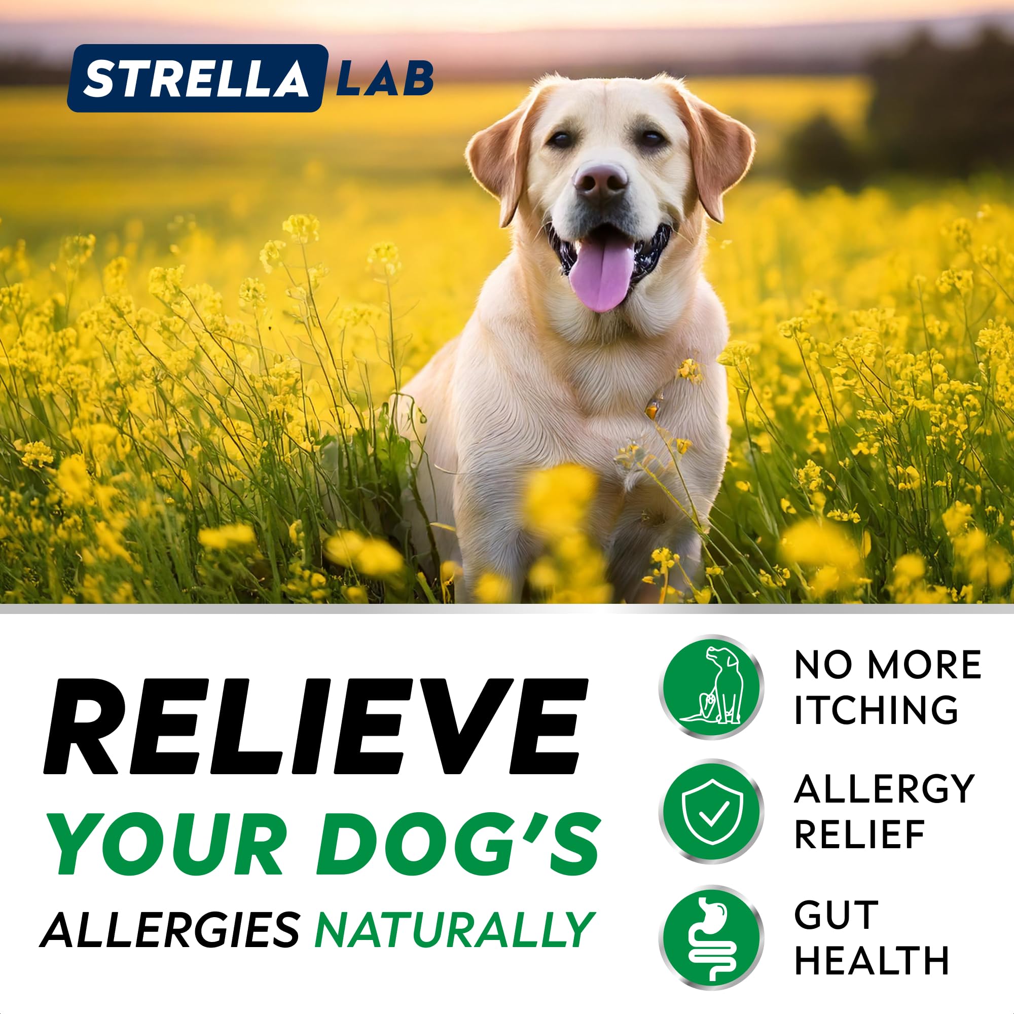 StrellaLab Dog Allergy Relief & Anti Itch Support Chews w/Omega 3: Real Ingredients, Real Taste! Skin & Coat Immune Supplement w/Fish Oil, Pumpkin & Enzymes — Developed by Experts - Made in USA -120Ct