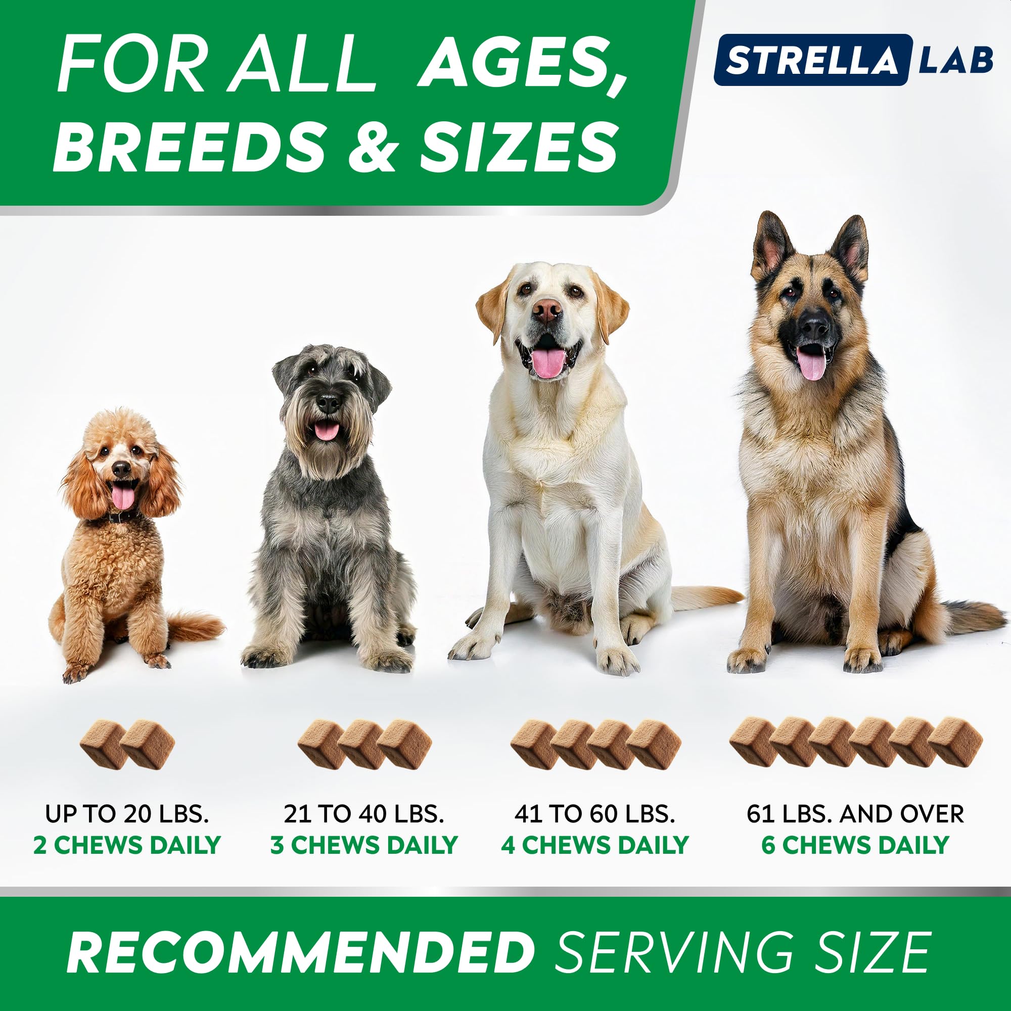 StrellaLab Dog Allergy Relief & Anti Itch Support Chews w/Omega 3: Real Ingredients, Real Taste! Skin & Coat Immune Supplement w/Fish Oil, Pumpkin & Enzymes — Developed by Experts - Made in USA -120Ct