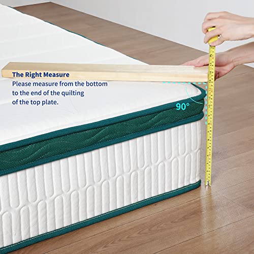 Oleesleep 13 Inch Dual Layered Gel Hybrid Memory Foam Mattress, CertiPUR-US Certified, Green, King