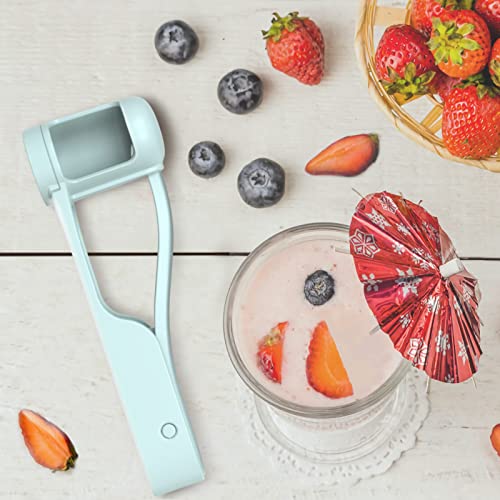 WhiteRhino Grape Cutter Grape Slicer for Toddlers Baby,Grape Cherry Tomato Strawberry Cutter Quarter Slicer tool For Vegetable Fruit Salad Cake Decoration,Stainless Steel kitchen Gadget Fruit Slicer