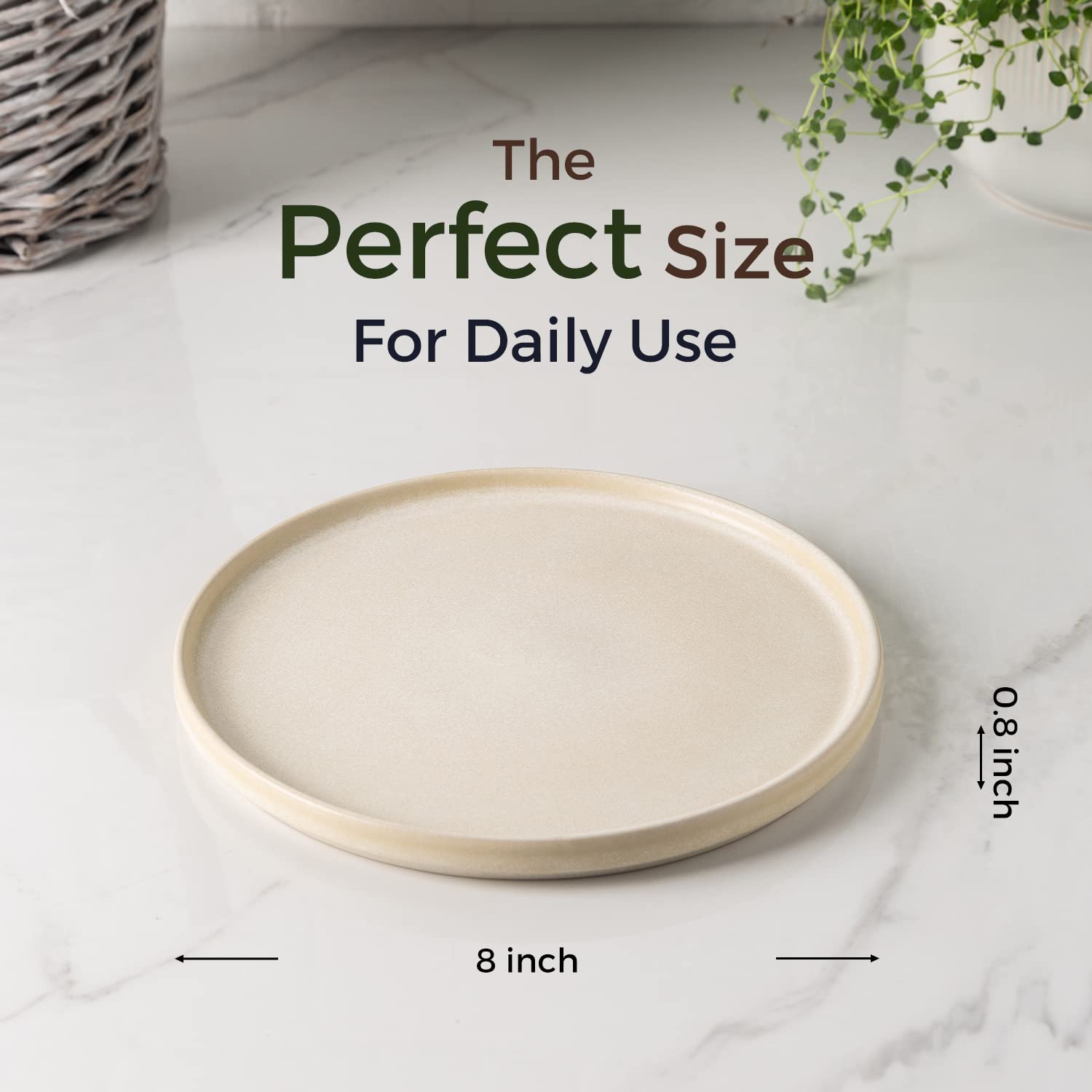 AmorArc Ceramic Dinner Salad Plates Set of 4, 8.0 Inch Reactive Matte Glaze Dish Set, Dessert,Salad, Appetizer, Small Dinner Plate,Microwave, Dishwasher Safe, Scratch Resistant, Ivory